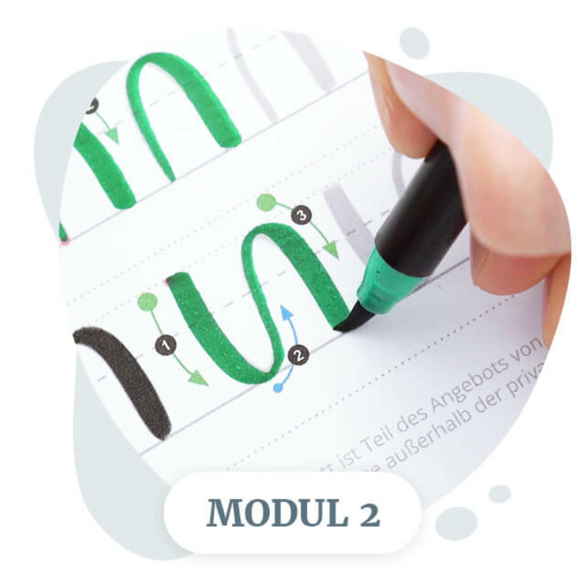 Handlettering Online Kurs mit Tino Ostrich • becomePro